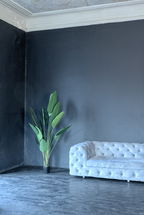 Blue Photo Studio HDRI • Poly Haven