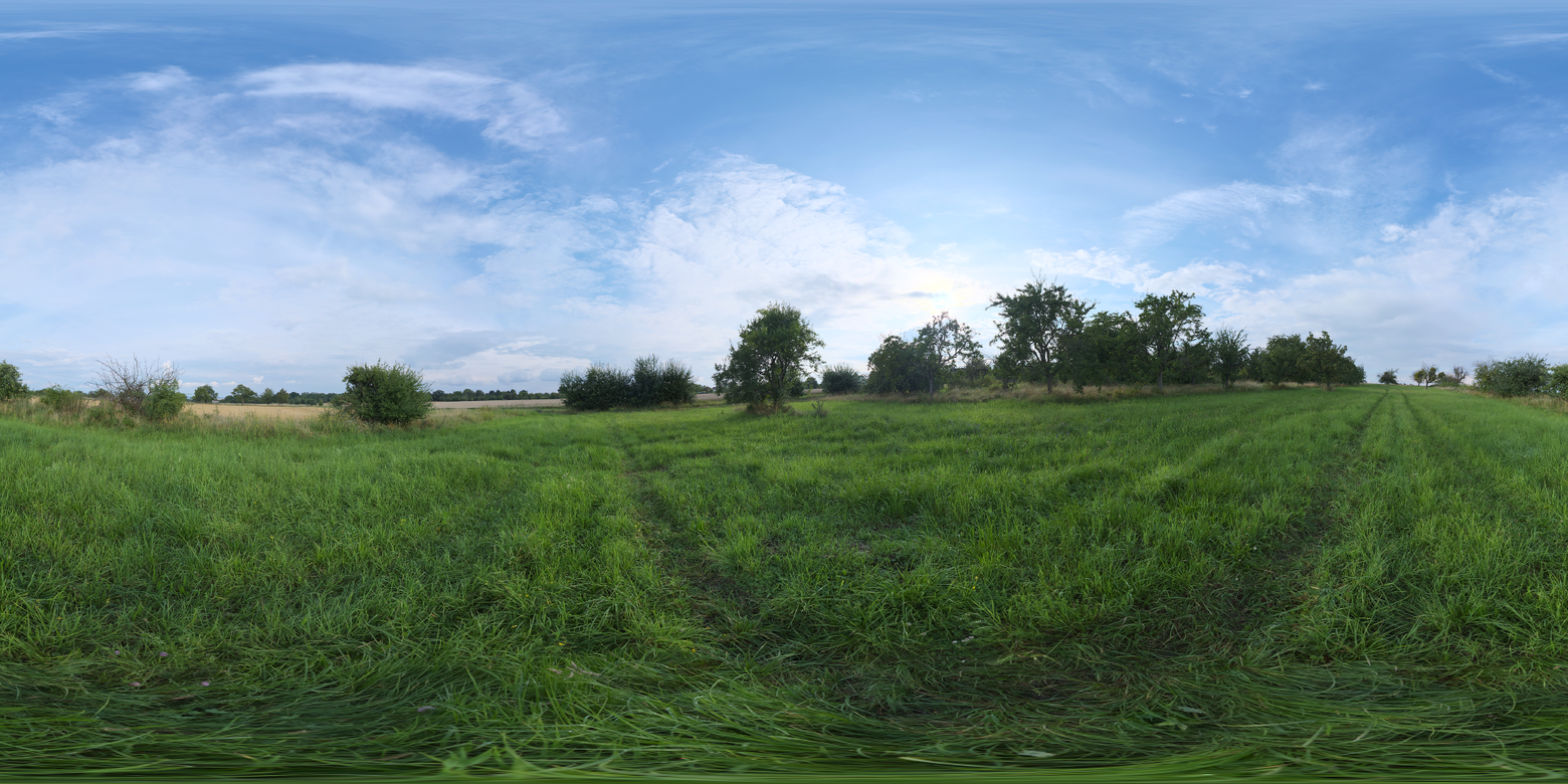 Evening Meadow HDRI • Poly Haven