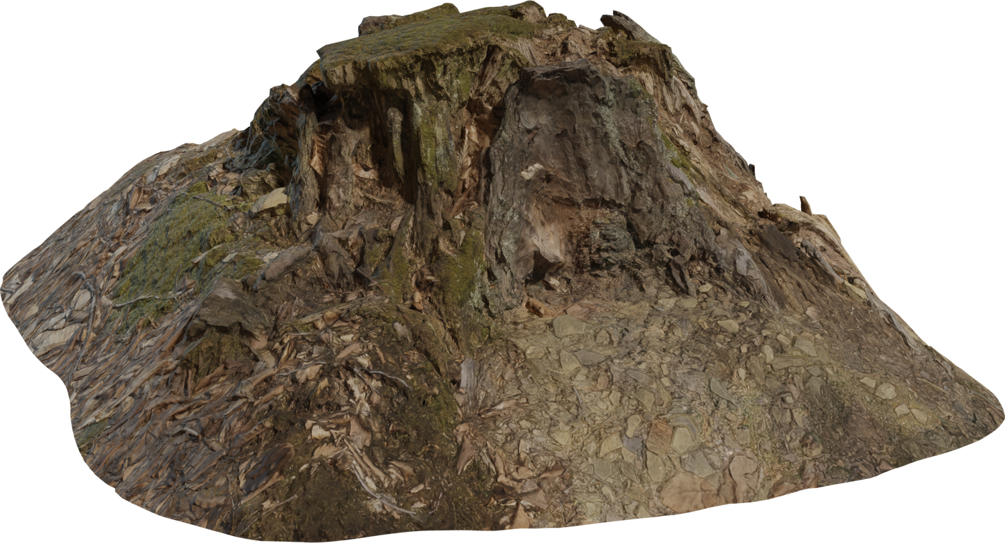 Tree Stump 01 Model • Poly Haven