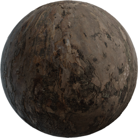 Pine Bark Texture • Poly Haven