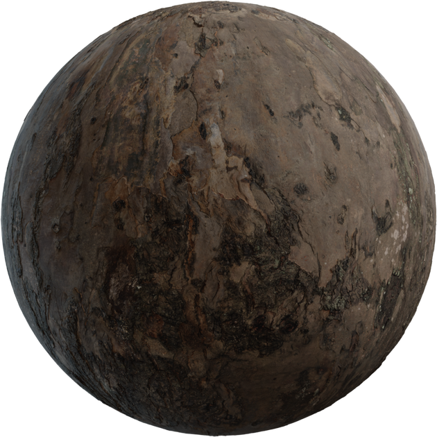 Bark Blue gum Texture • Poly Haven