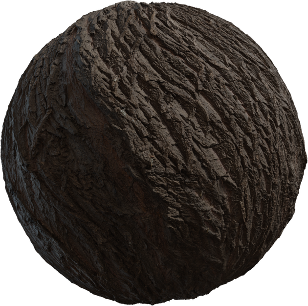 Bark Willow Texture • Poly Haven