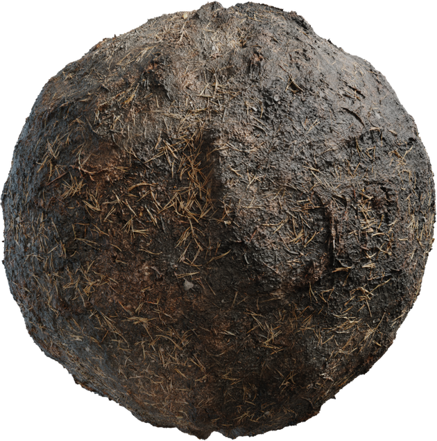 Burned Ground 01 Texture • Poly Haven