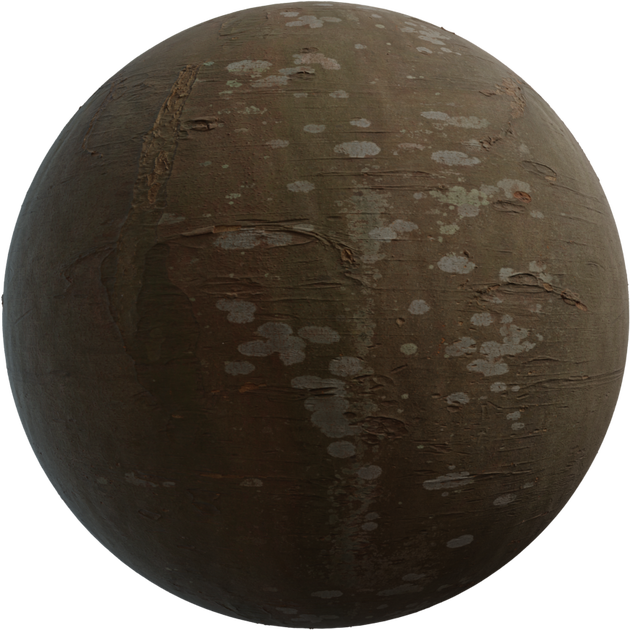 Chinese Hackberry Bark Texture • Poly Haven