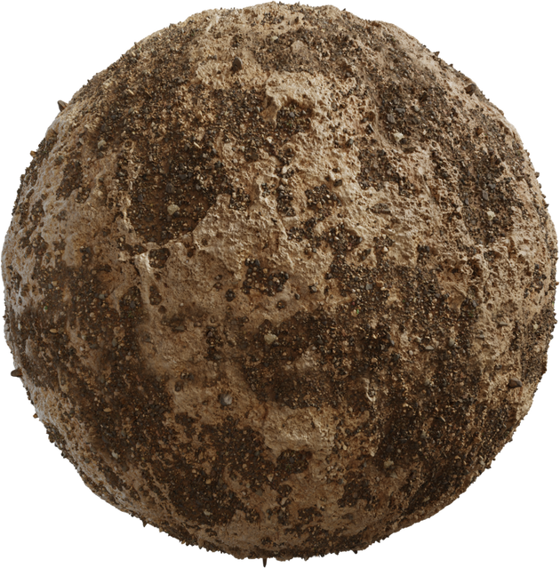 Coral Ground 02 Texture • Poly Haven