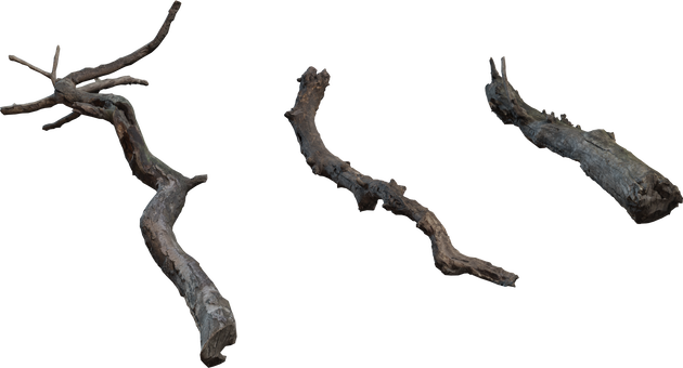 Dry Branches Medium 01 Model • Poly Haven