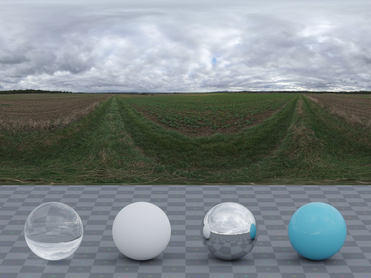 HDRIs: Outdoor > Overcast • Poly Haven