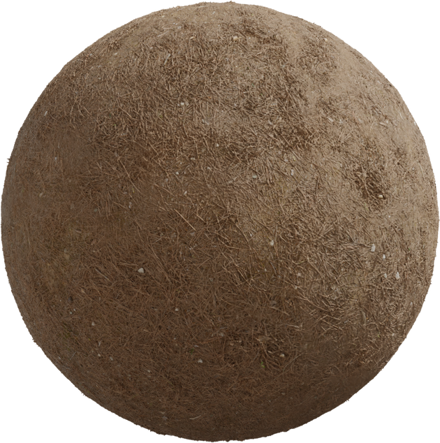 Forest Ground 03 Texture • Poly Haven