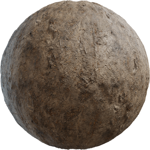 Forest Sand 01 Texture • Poly Haven