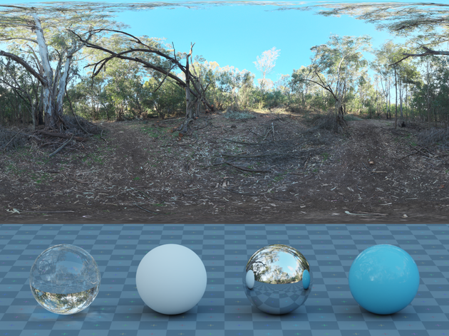Gum Trees HDRI • Poly Haven
