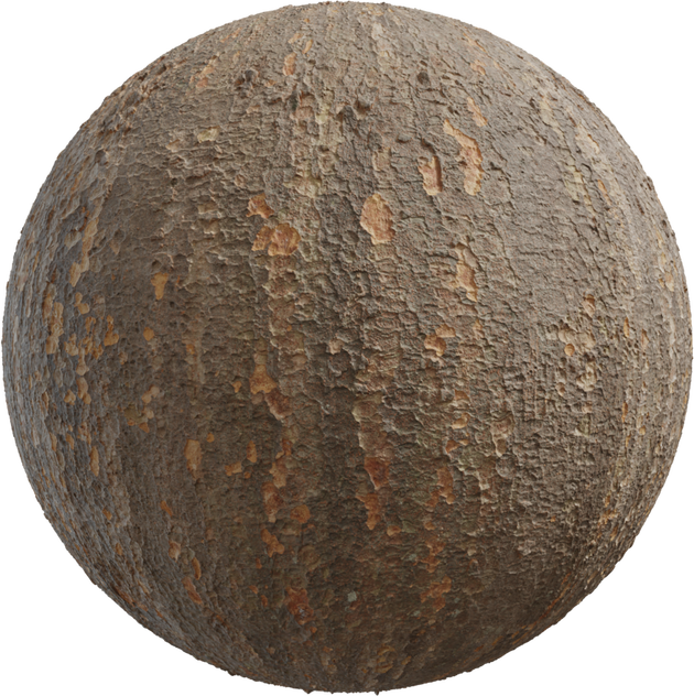 Japanese Zelkova Bark Texture • Poly Haven