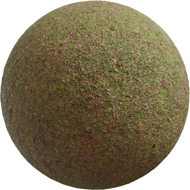 Leafy Grass Texture • Poly Haven