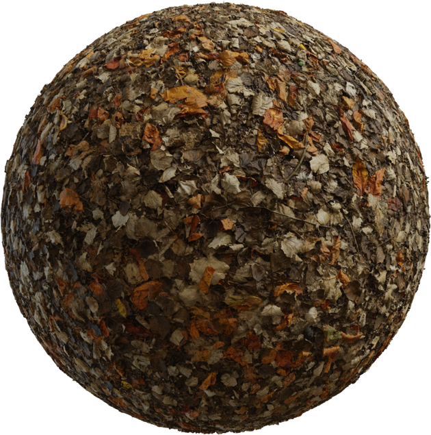 Leaves Forest Ground Texture • Poly Haven