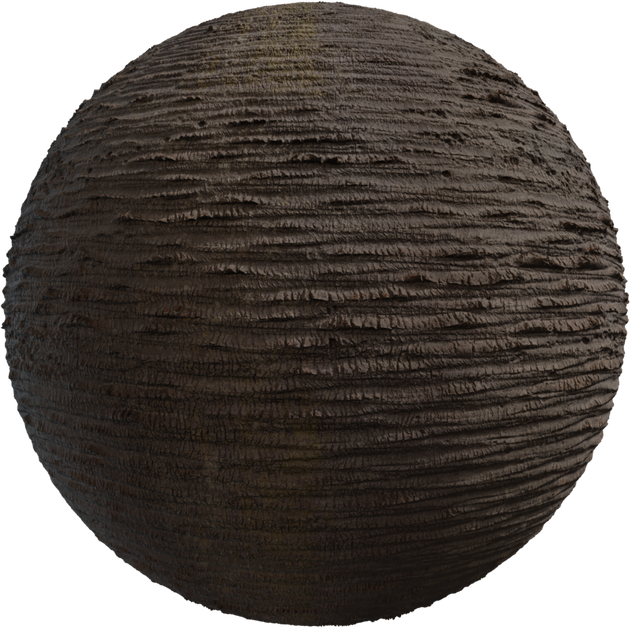 Palm Bark Texture • Poly Haven