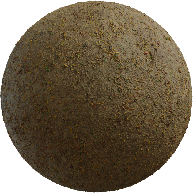 Park Dirt Texture • Poly Haven