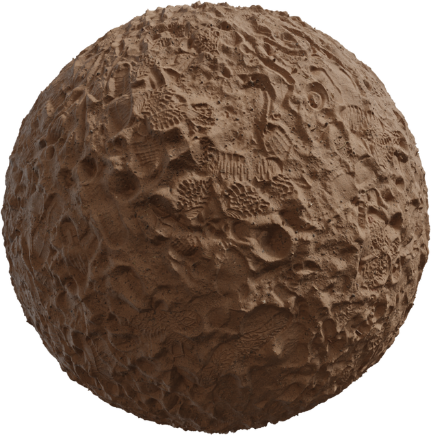 Park Sand Texture • Poly Haven