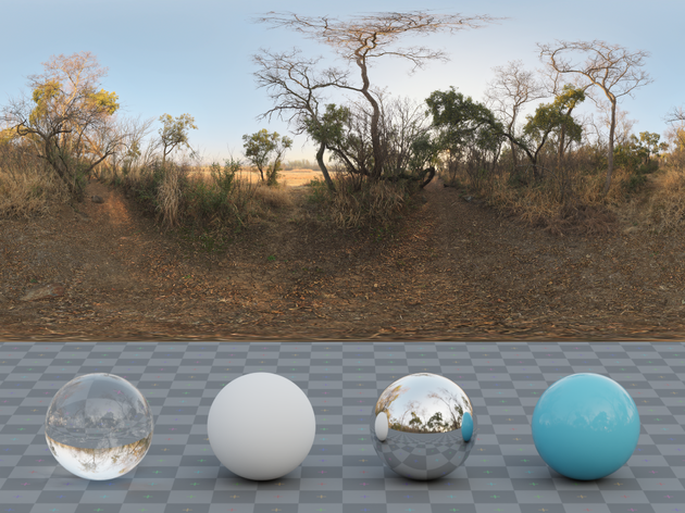 Pathway Morning HDRI • Poly Haven