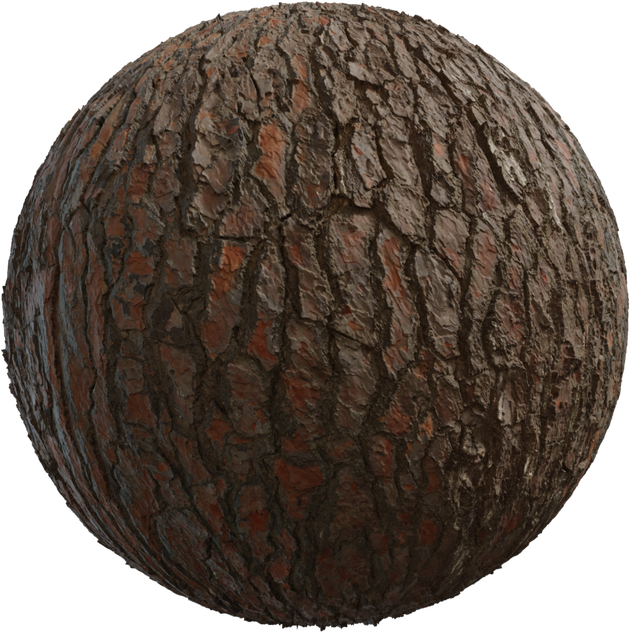 Pine Bark Texture • Poly Haven