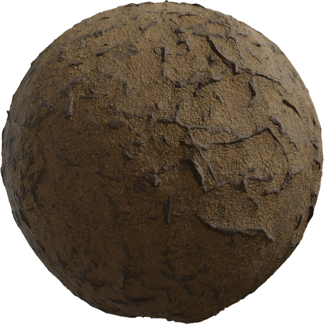 Roots Texture • Poly Haven