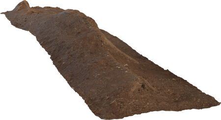 Pine Roots Model • Poly Haven