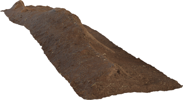 Single Root Model • Poly Haven