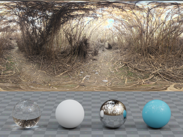 Spooky Bamboo Morning HDRI • Poly Haven