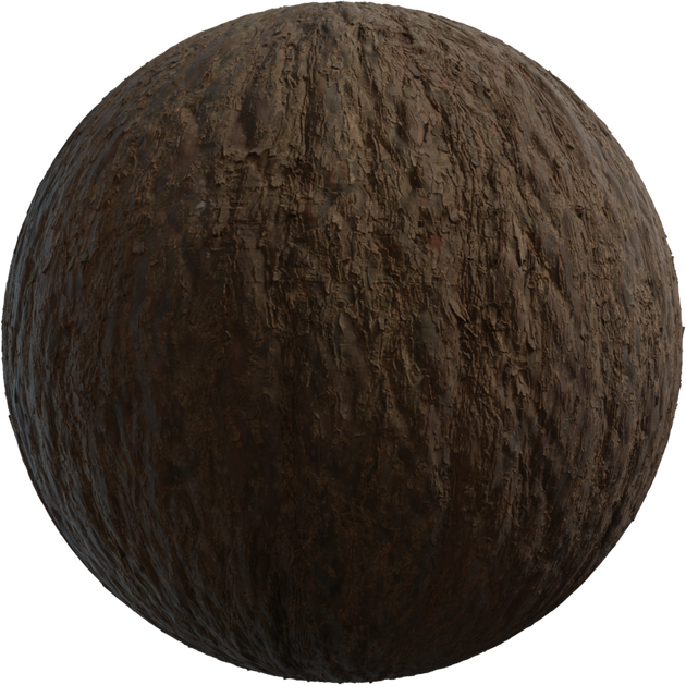 Trident Maple Bark Texture • Poly Haven