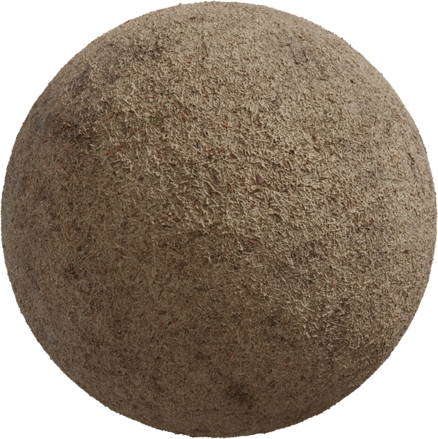 Withered Grass Texture • Poly Haven