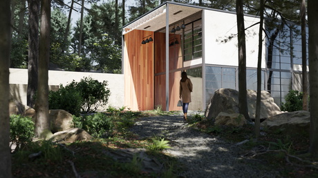 Pine Roots Model • Poly Haven