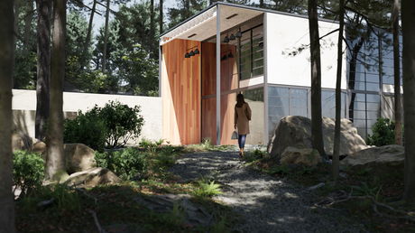 Pine Roots Model • Poly Haven