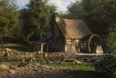 Forest Ground 01 Texture • Poly Haven